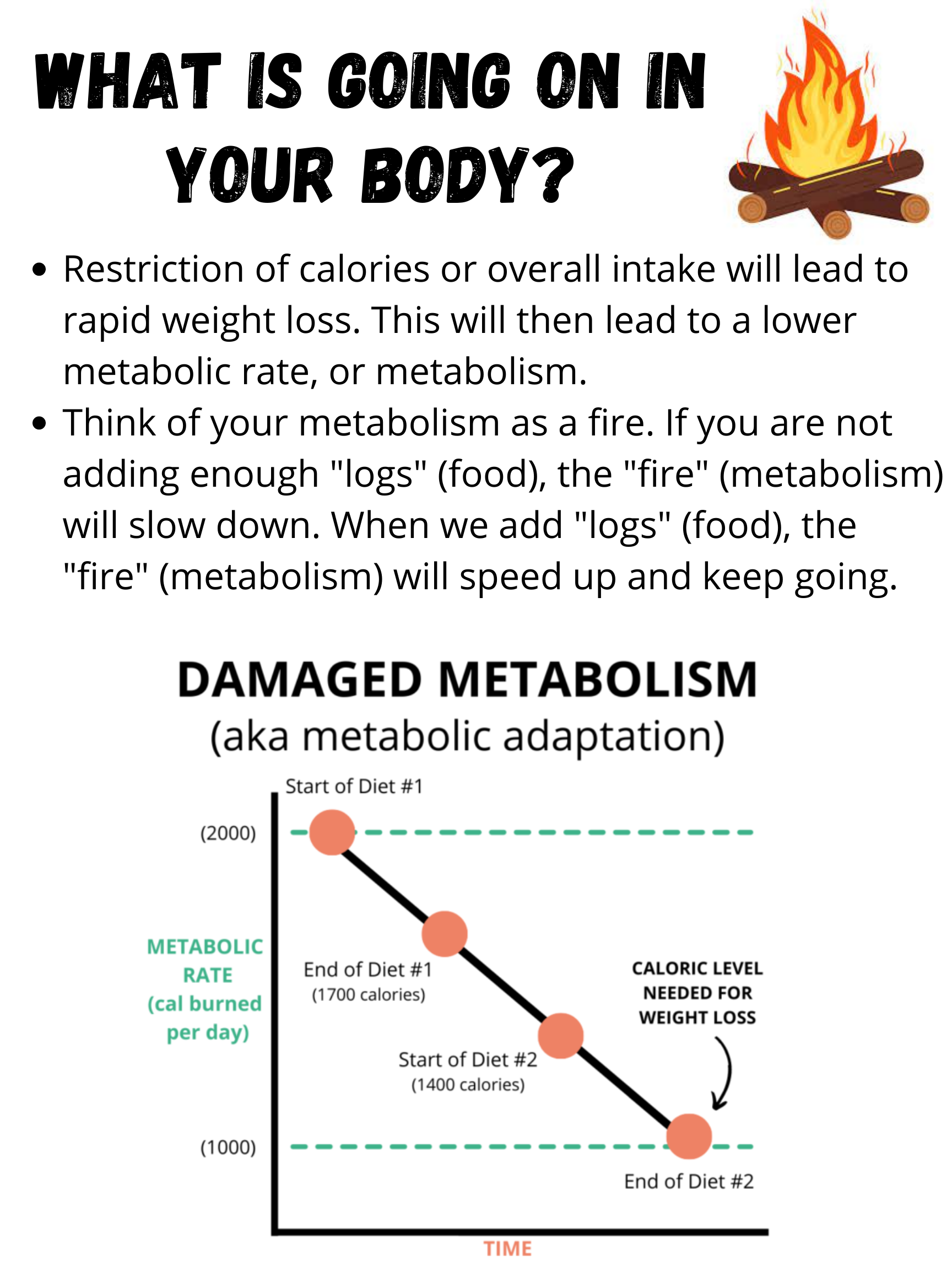Yo-Yo Dieting – What is it? – Stony Brook Medicine Target Fitness